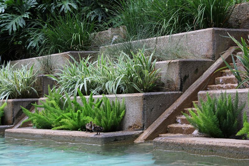 Concrete Pool Builders Northern Beaches | Custom Luxury Pools